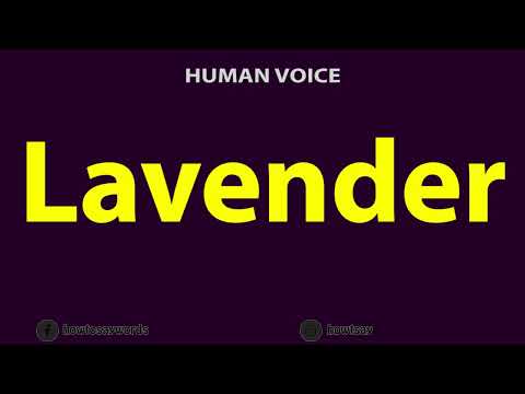 How To Pronounce Lavender