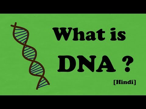What is DNA ? [Hindi ]