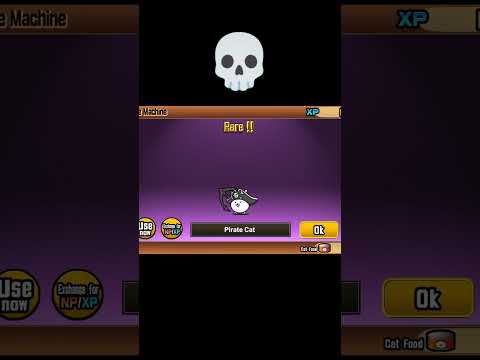 Lets Waste Half of 1500 Cat Food in Epicfest! (Inspired by: @warioman9116)