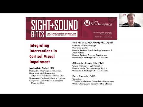 Sight + Sound Bites: Integrating Interventions in Cortical Visual Impairment