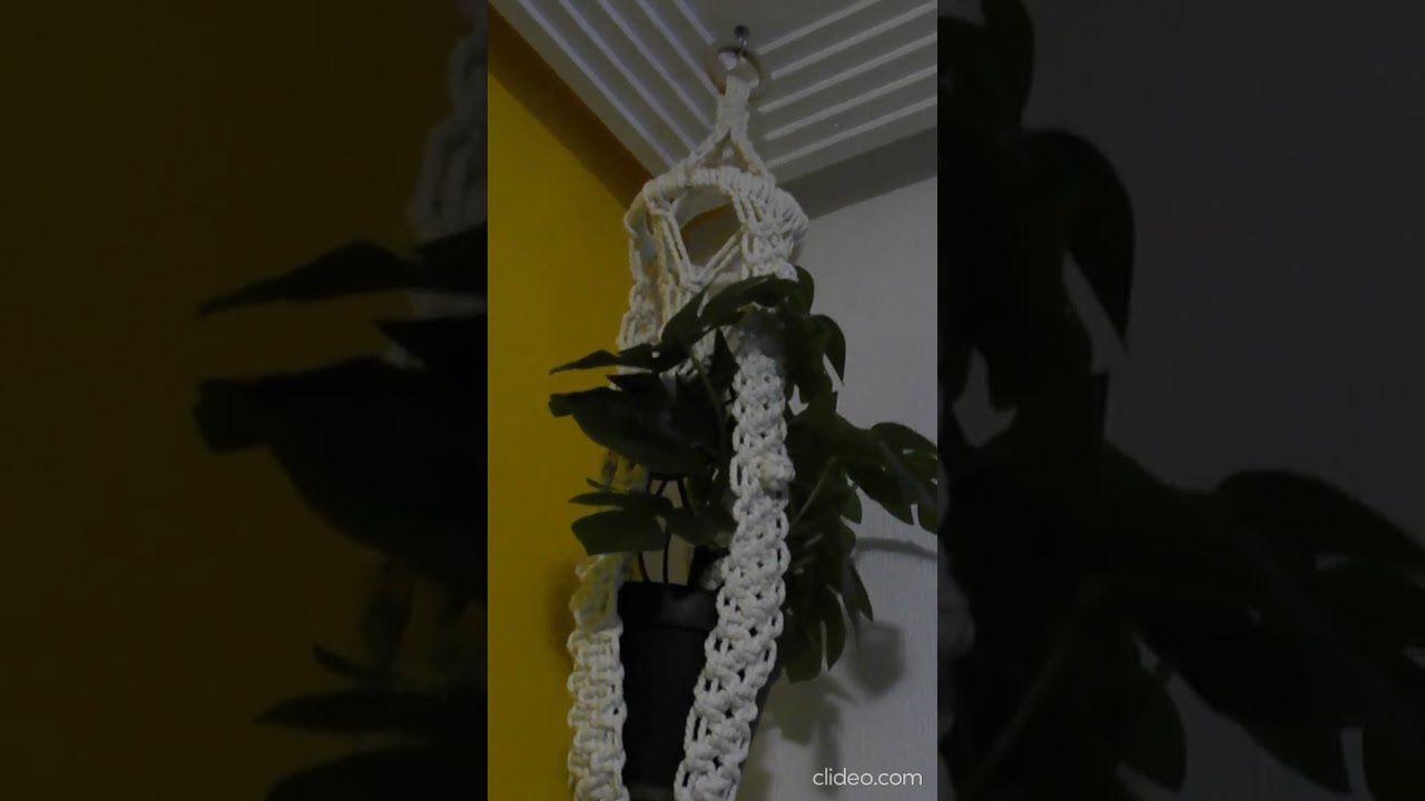 #macetero colgante parque