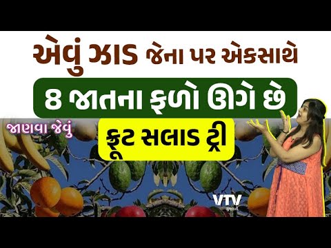 ફ્રૂટ સલાડ ટ્રી : એવું ઝાડ જેના પર એકસાથે 8 જાતના ફળો ઊગે છે | JANVA JEVU