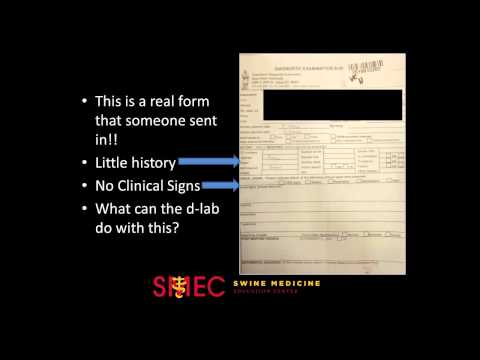 Diagnostic Lab Submissions Video 2 (Submission Forms)