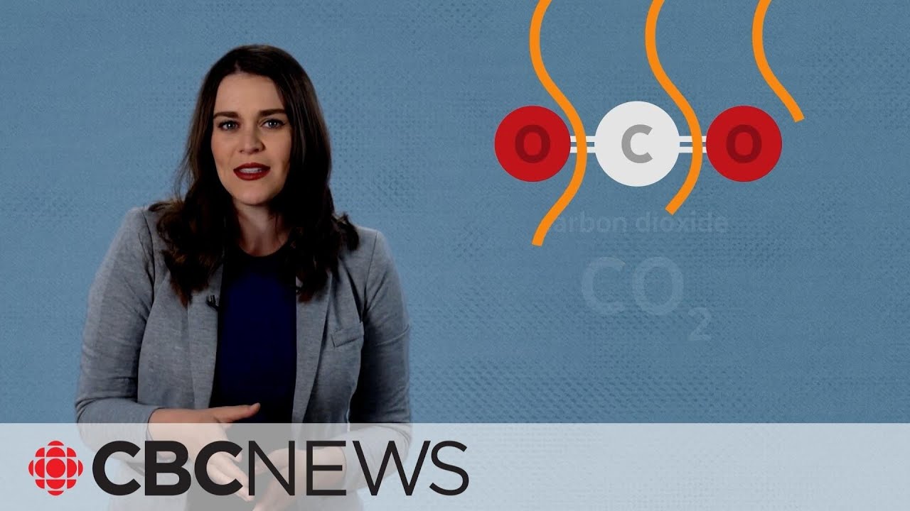 Carbon budgets: How do they work and are they effective?