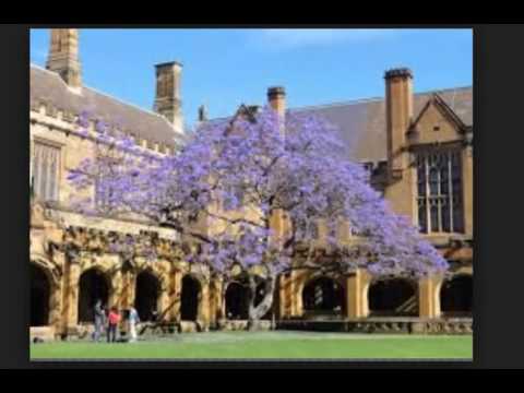 University of Sydney, Distance Learning