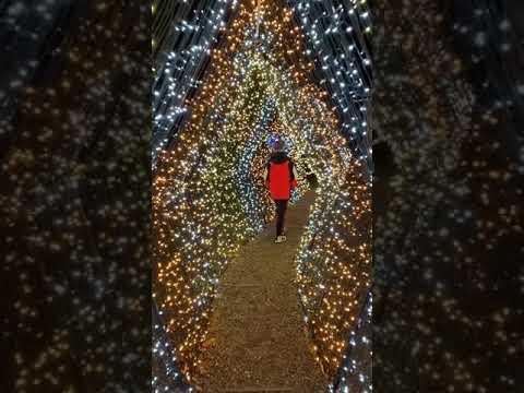 Winter lights at Naumkeag