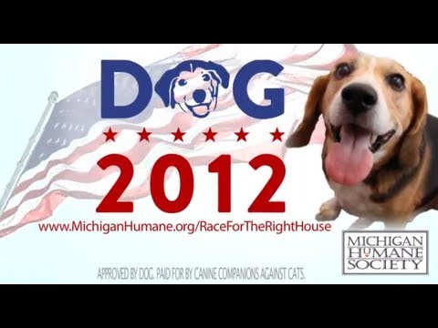 Vote Cat! Vote Dog! Vote Adoption! | Michigan Humane Society