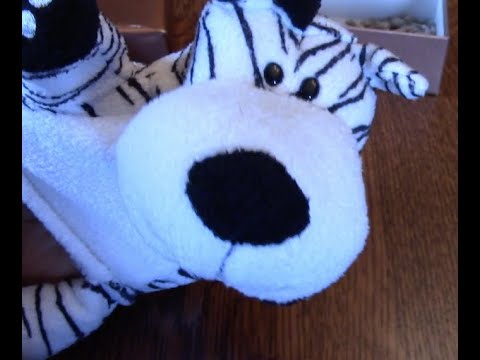 Don't Bear False Witness! Children's Story