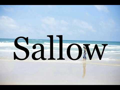 How To Pronounce Sallow🌈🌈🌈🌈🌈🌈Pronunciation Of Sallow
