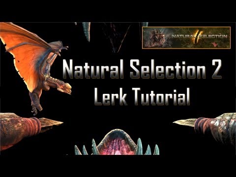 Steam Community :: Natural Selection 2