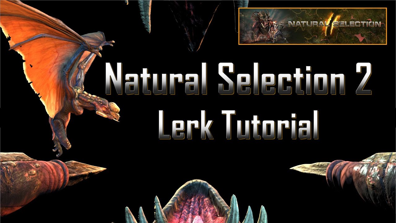 Natural Selection 2 Lerk Tutorial