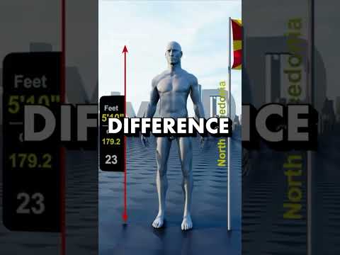 Average Male Height in Different Countries! | 3D Comparison