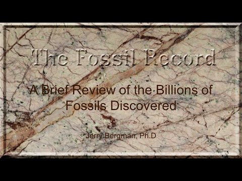 Origins: The Fossil Record