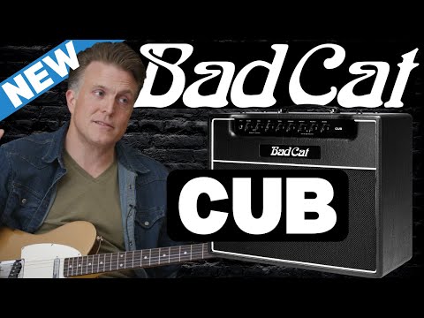 Bad Cat Cub 30 Watts Head | Reverb