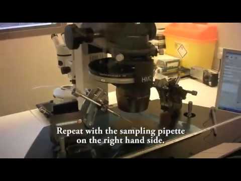 Micromanipulator at Best Price in India