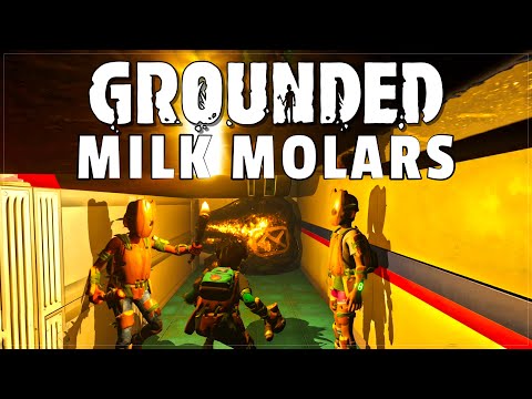 Steam Community :: Video :: INSECT HAMMER AND MOLAR UPGRADES | Grounded ...