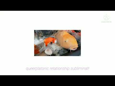 queerplatonic relationship subliminal!! (◍•ᴗ•◍)✧*。