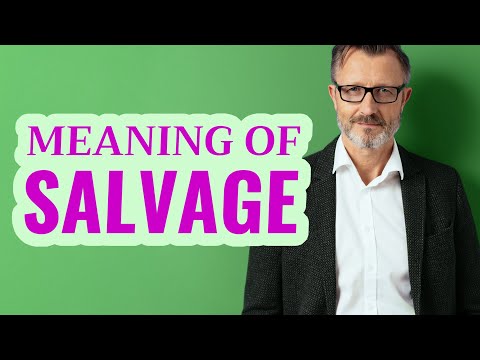 Salvage | Meaning of salvage