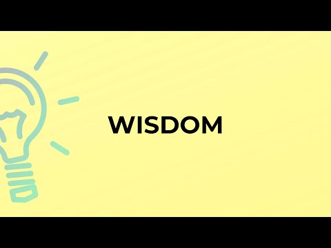 What is the meaning of the word WISDOM?