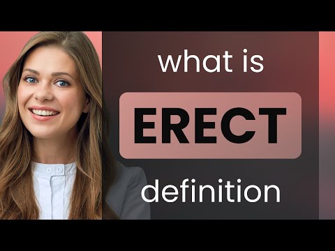 Erect — ERECT definition