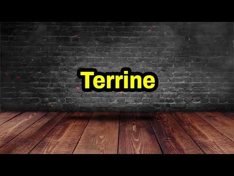 Terrine Pronunciation | How To Pronounce Terrine