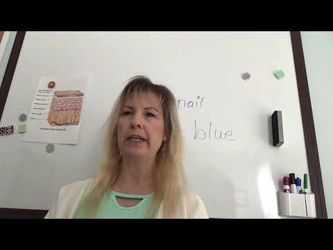 Identify nails as an appendage of the skin