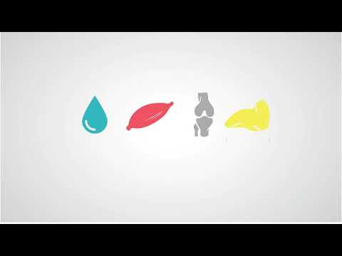 What is Body Composition