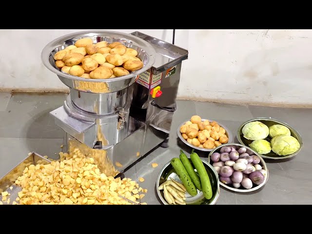 Veg. Cutting Machine - Vegetable Cutter Machine Manufacturer from Bhopal