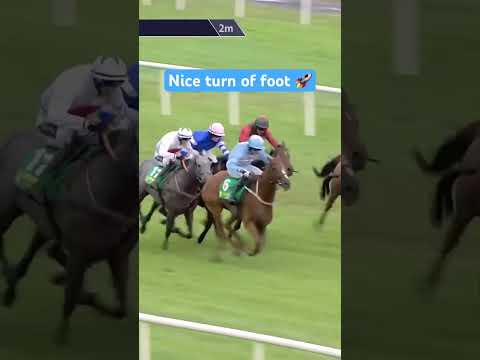 Nice turn of foot 🚀 #horse #horseracing #racingtv