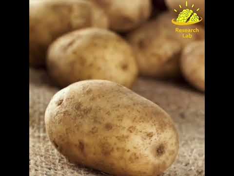 | A famine that destroyed Ireland in 1845 | Irish Potato Famine |