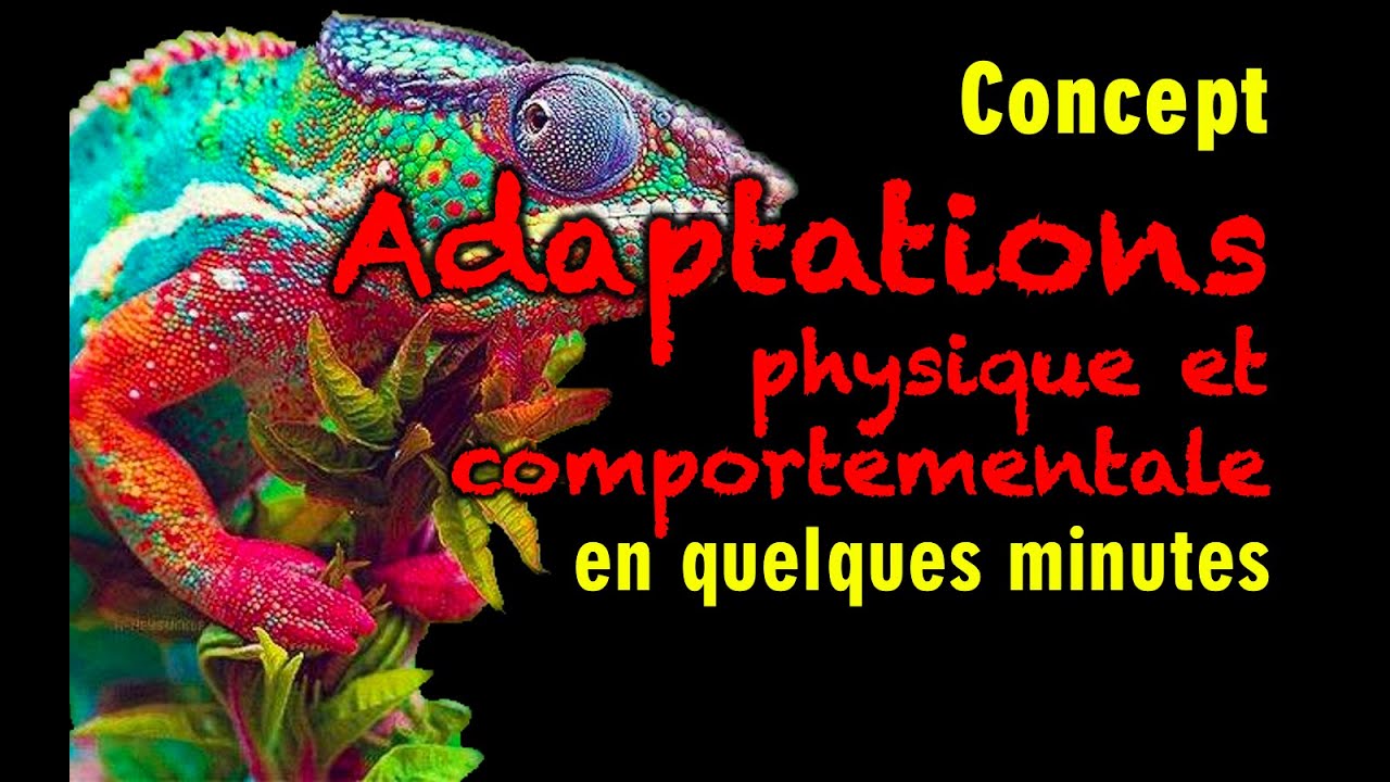 120-Adaptations physiques et comportementale