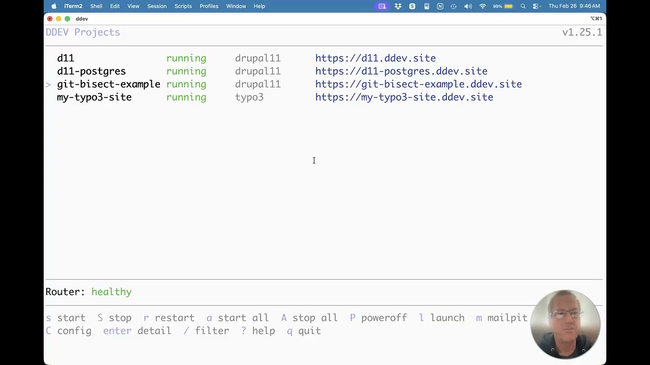 New DDEV TUI Dashboard!