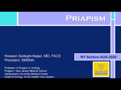 Priapism - EMPIRE Urology Lecture Series