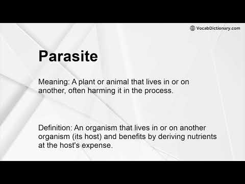 Parasite Meaning
