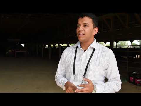 Exemplary Feedback from End Users Drives Buyers to Purchase U.S. Soy