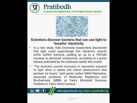 Scientists discover bacteria that can use light to ‘breathe’ electricity