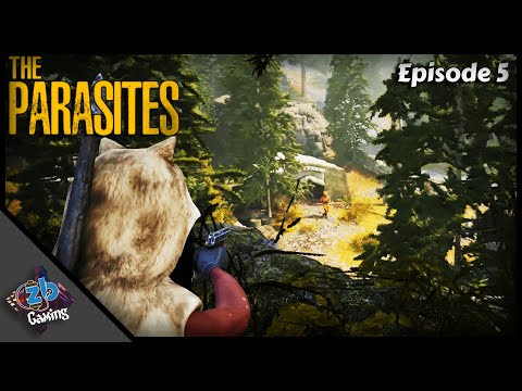 Steam Community :: Video :: Finally Finding The Things You Guys Comment ...