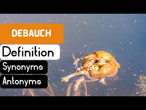Debauch Pronunciation | Debauch Definition | Debauch Synonyms | Debauch Antonyms