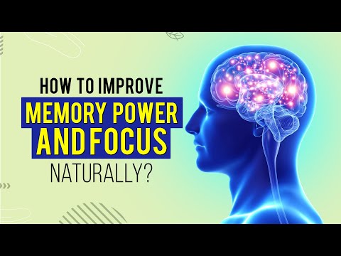 Herbal Brain Enhancement Pills to Improve Memory Power and Focus