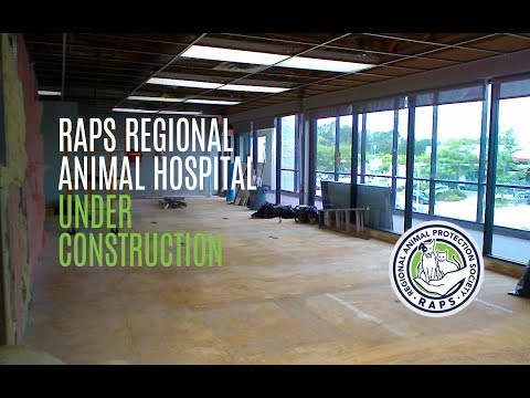 RAPS New Animal Hospital Walkthrough
