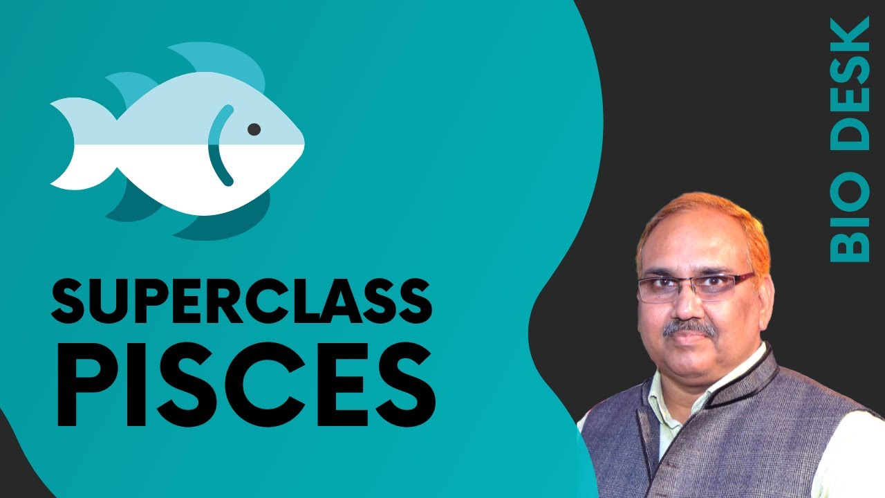 Superclass Pisces