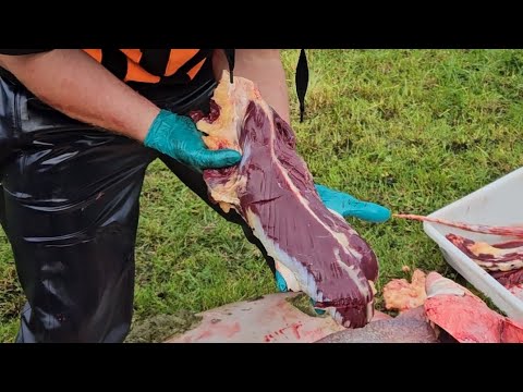 BEEF HANGER STEAK REMOVAL