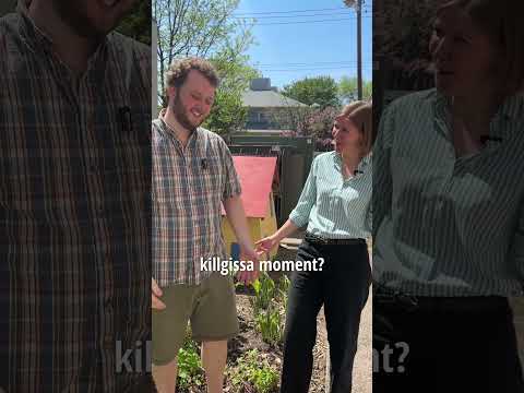 ASI's Swedish Word of the Week - Killgissa