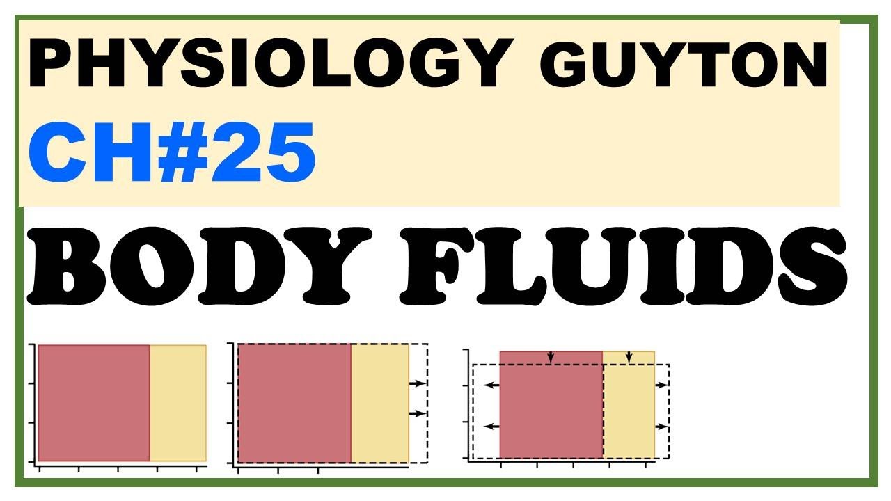 Chp#25 Guyton Physio | Body Fluid Compartments | Intra & Extra cellular Fluids | Dr Asif Lectures