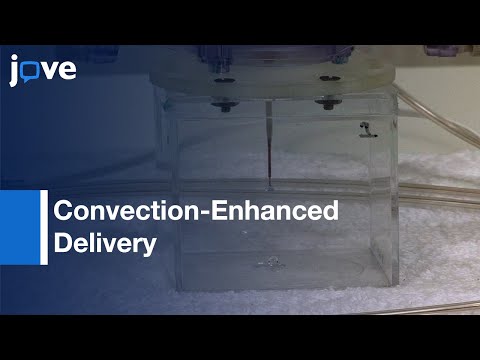 Image-Guided Convection-Enhanced Delivery: Agarose Gel Models:Brain-Preview