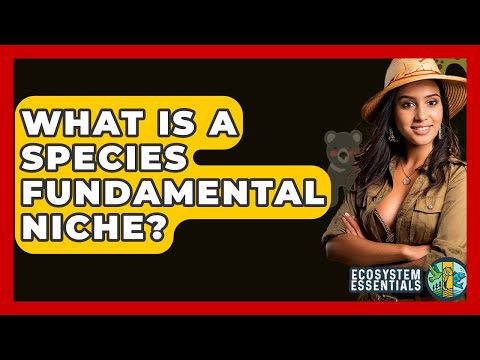 What Is A Species Fundamental Niche? - Ecosystem Essentials