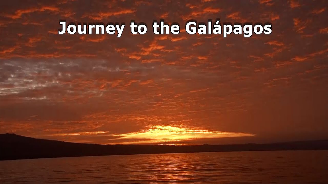 Galápagos Islands Series Overview