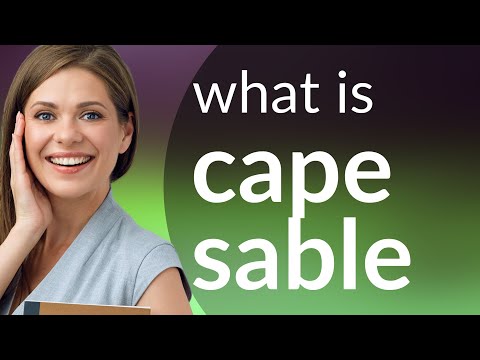Cape sable • CAPE SABLE definition