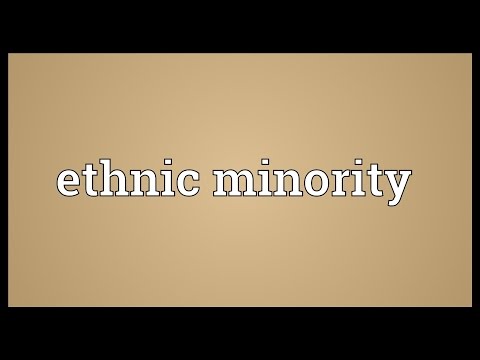 Ethnic minority Meaning
