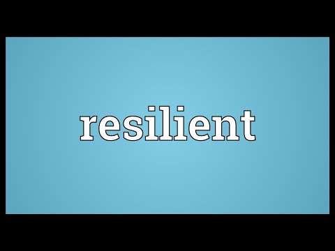 Resilient Meaning